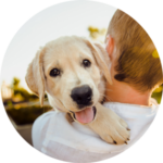 Veterinarian in Rensselaer & Winamac, IN | Davis Veterinary Clinic